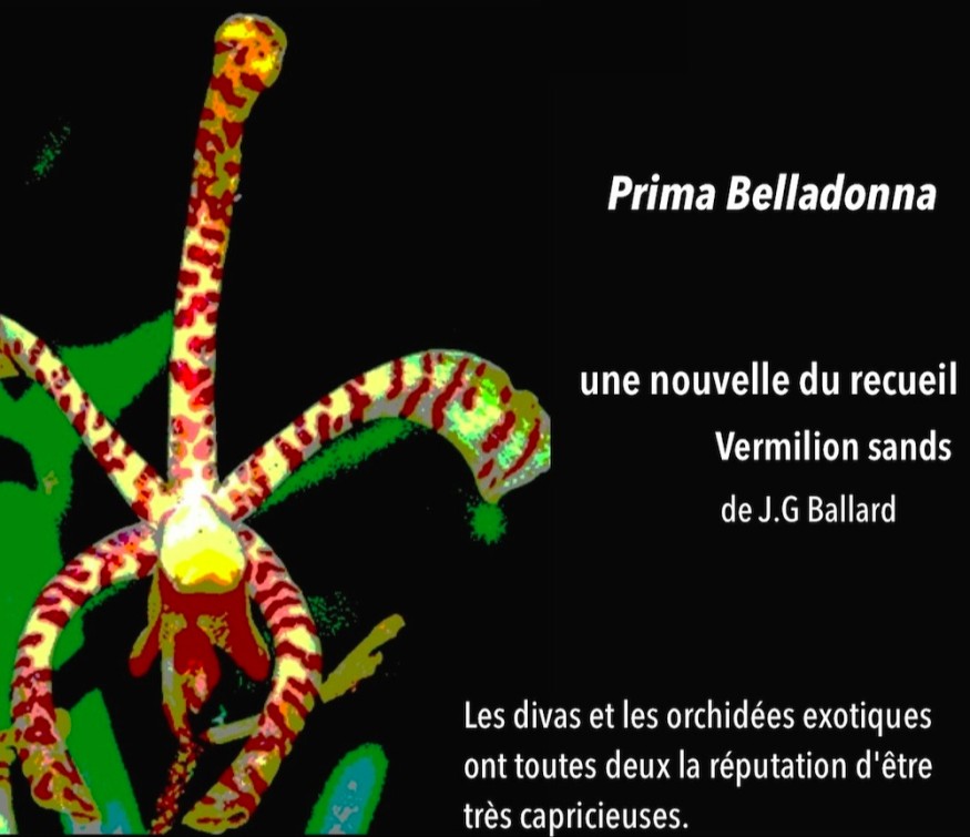 10 minutes chronique - J.G Ballard - Vermilion sands - Prima Belladonna ...